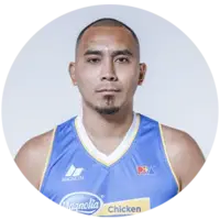 Magnolia Hotshots Team Profile - PBA Updates PH